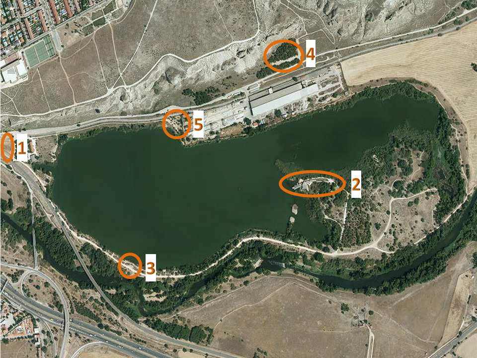 Áreas recreativas en la Laguna de «El Campillo» | EL CAMPILLO